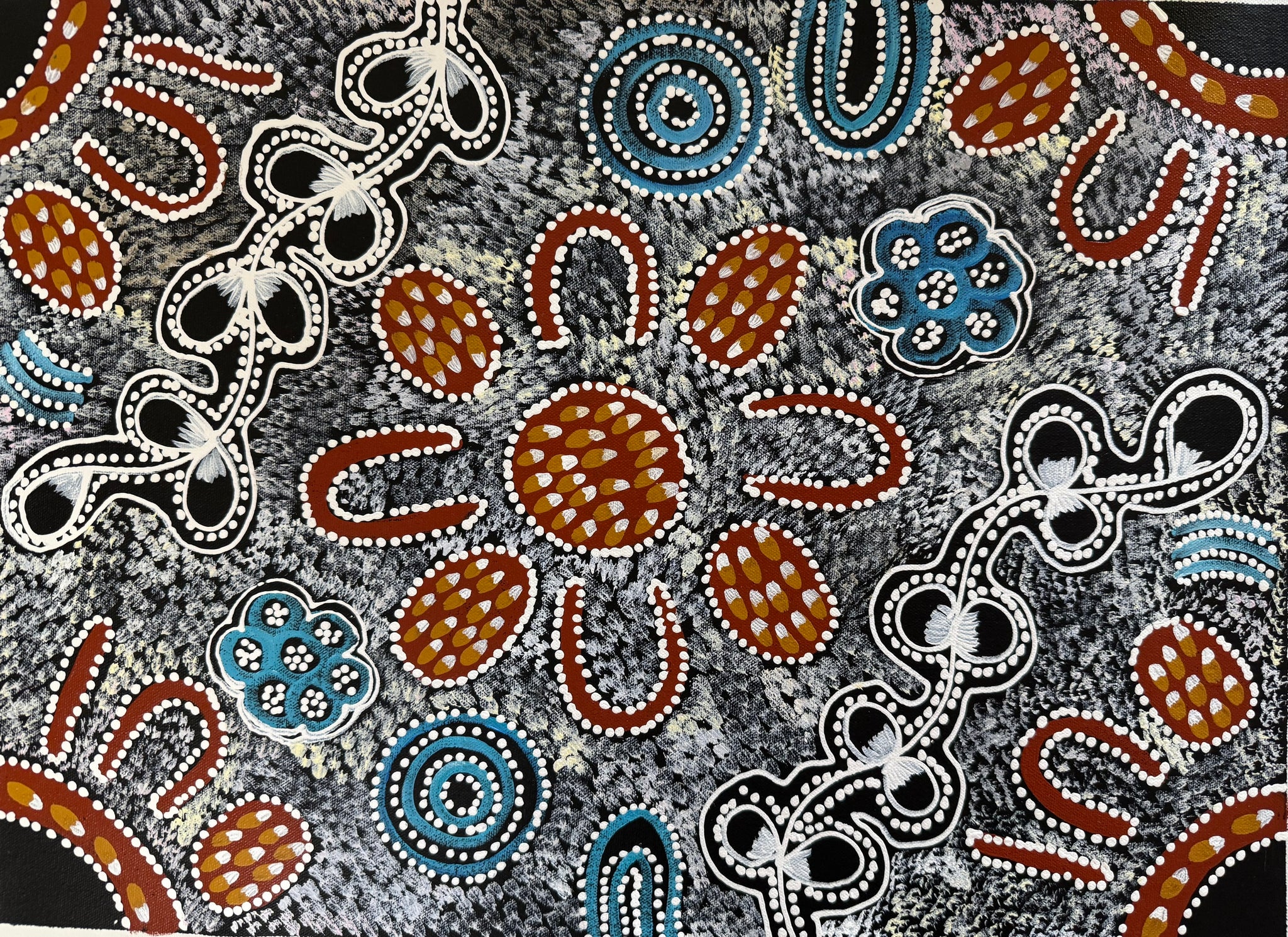 Lanita Numina My Country Women Collect Bush Tuckers Black and White ...