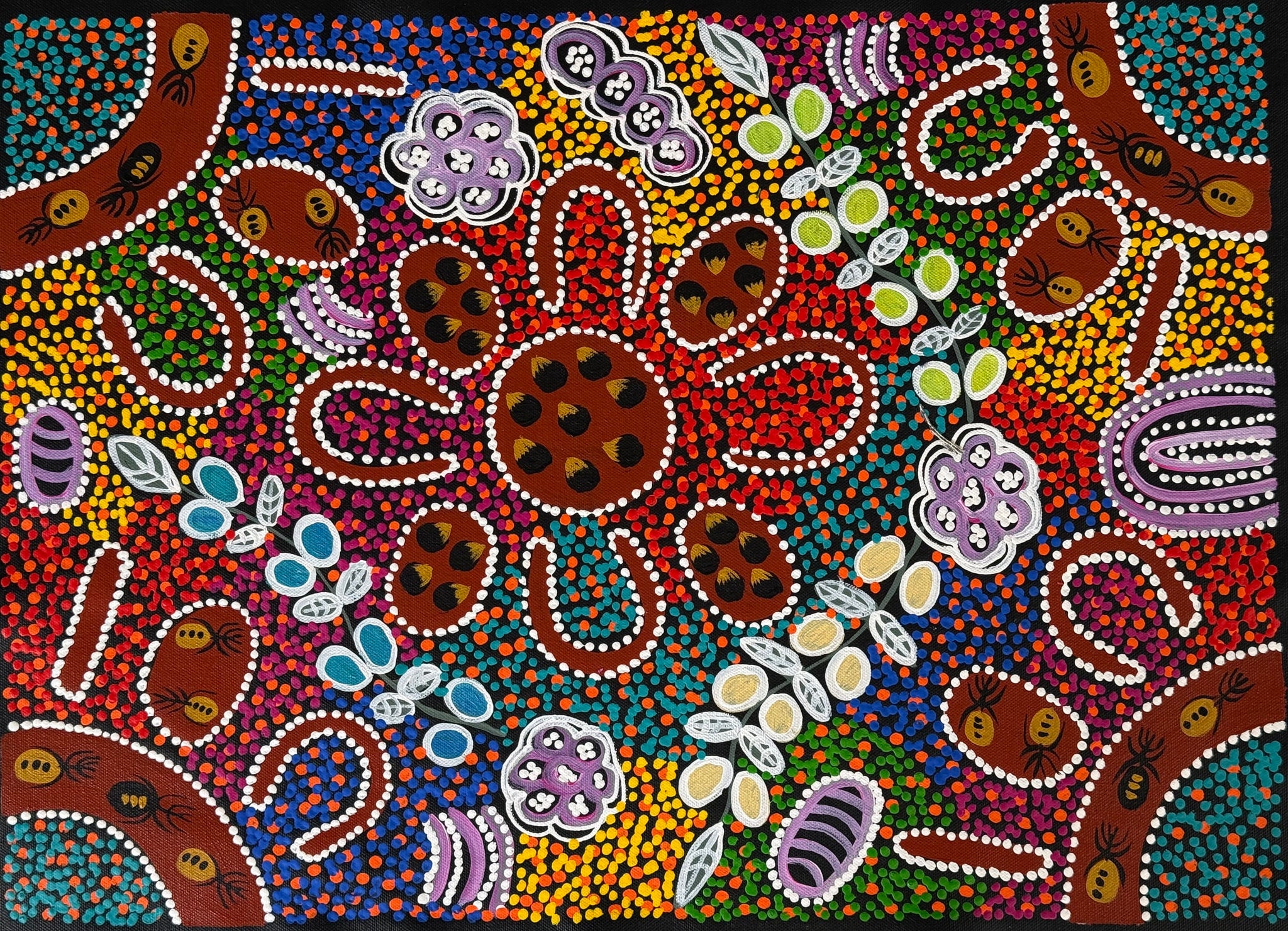 Lanita Numina My Country Women Collect Bush Tuckers Multicolour Artwork ...