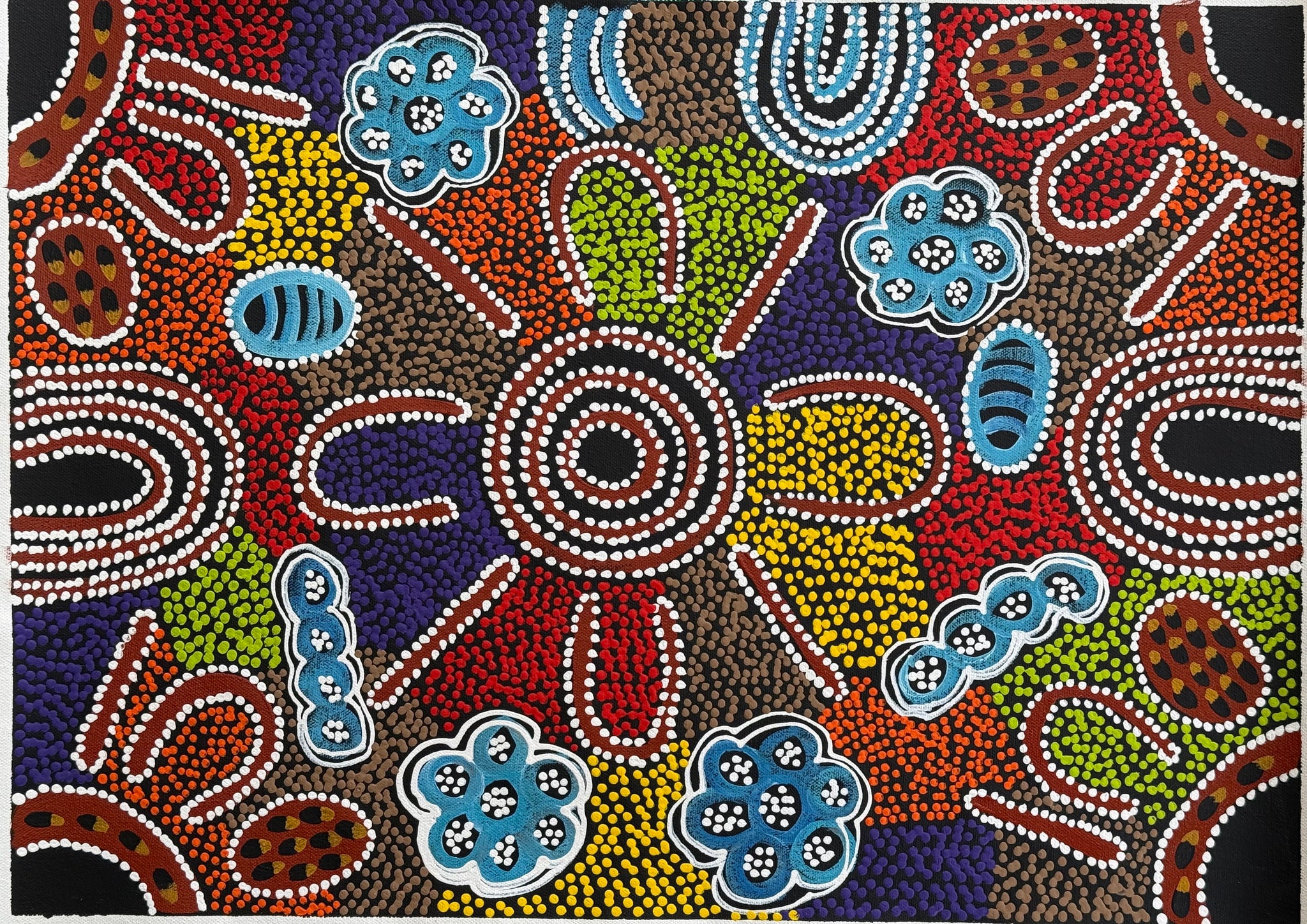 Lanita Numina My Country Women Collect Bush Tuckers Multicolour Artwork ...