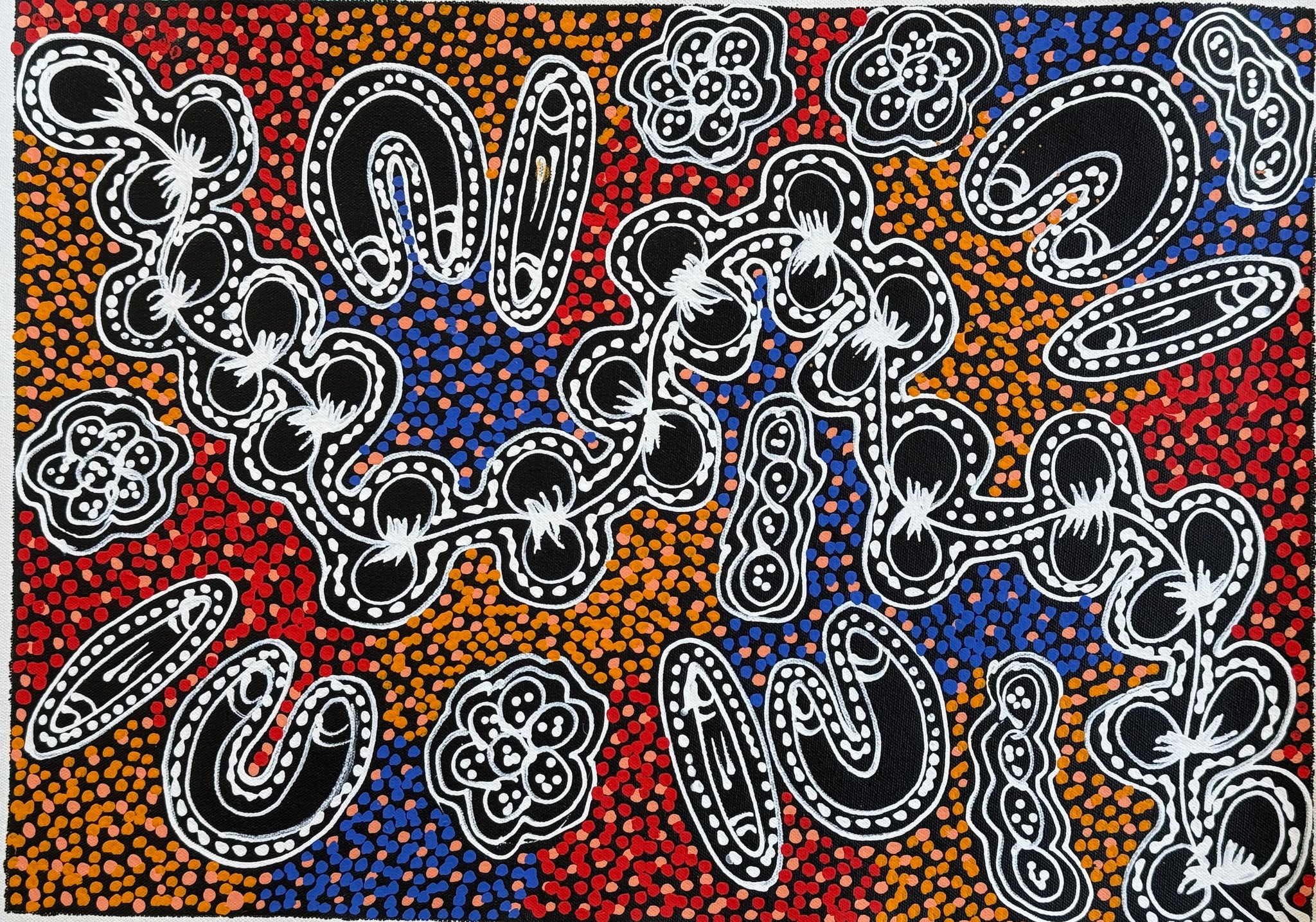 Lanita Numina My Country Women Collect Bush Tuckers Multicoloured ...