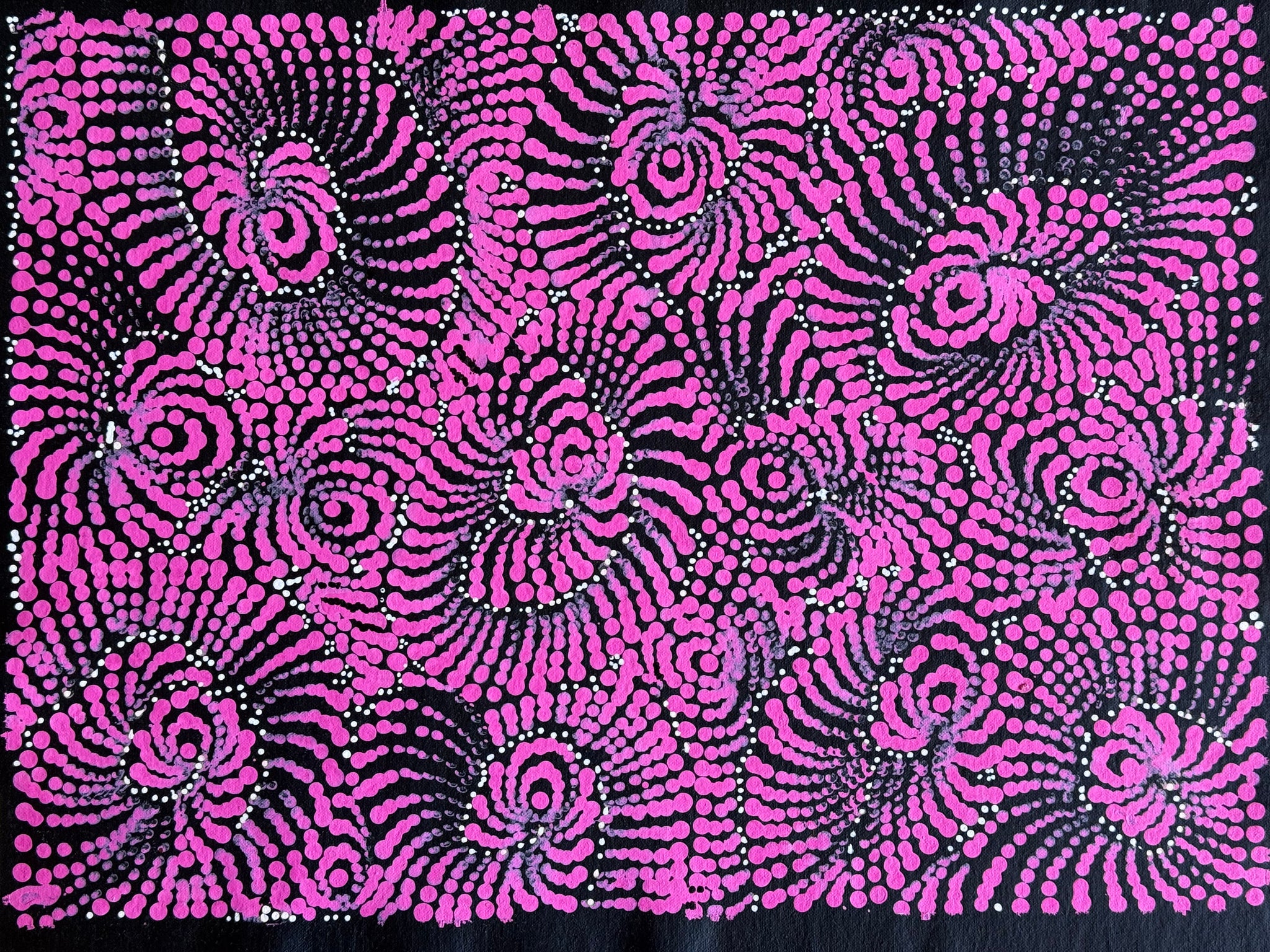 Maria Nampijinpa Brown Flying Ants Dreaming Pink Artwork | Small ...