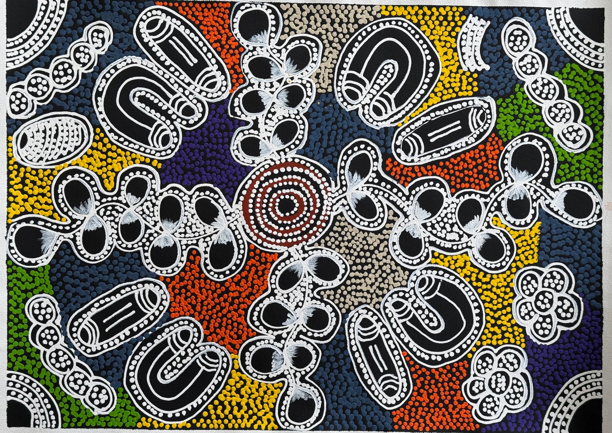 Lanita Numina My Country Women Collect Bush Tuckers Multicolour Artwork ...