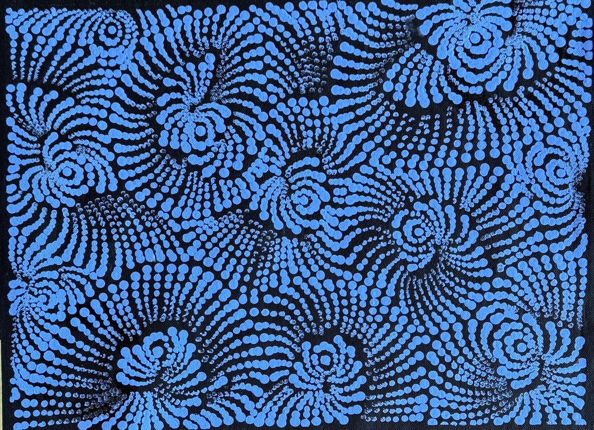 Maria Nampijinpa Brown Flying Ants Dreaming Blue Artwork | Small ...