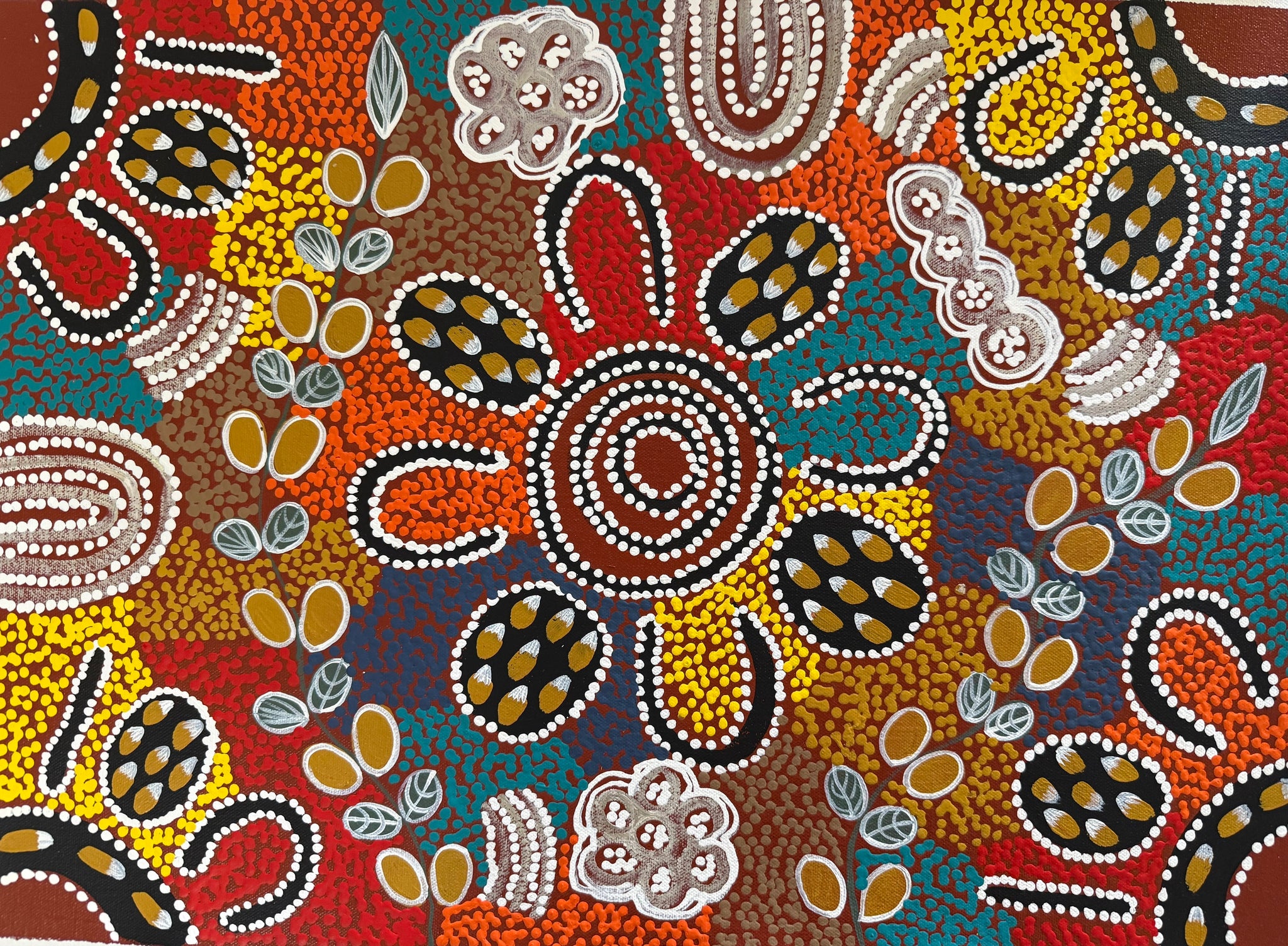 Lanita Numina My Country Women Collect Bush Tuckers Multicolour Artwork ...