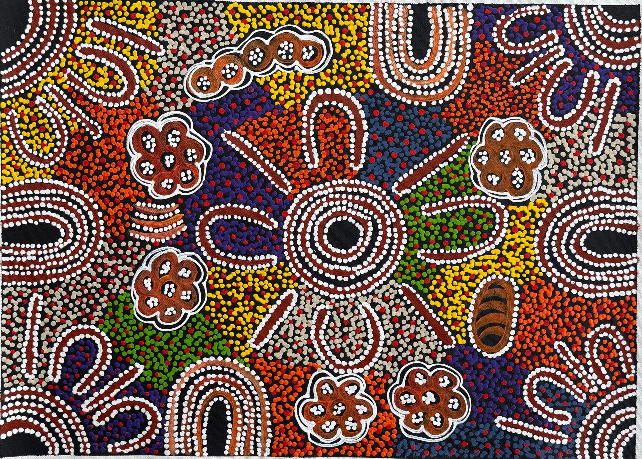 Lanita Numina My Country Women Collect Bush Tuckers Multicolour Artwork ...