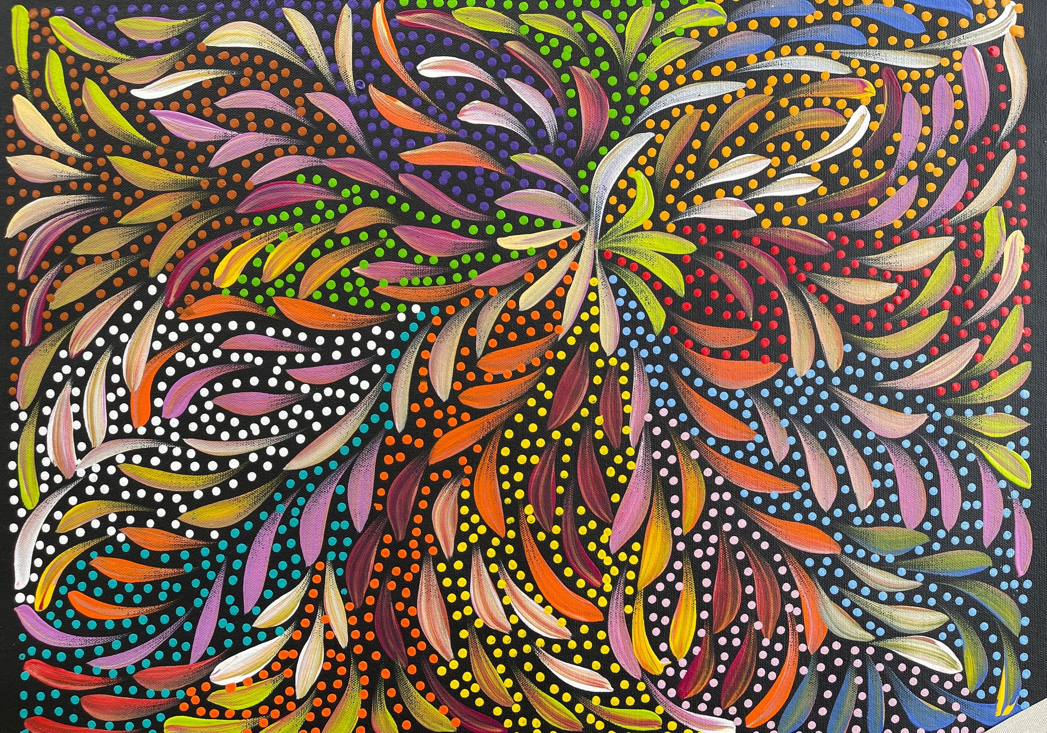 Caroline Numina Bush Medicine Leaves and Seeds Multicoloured Artwork ...