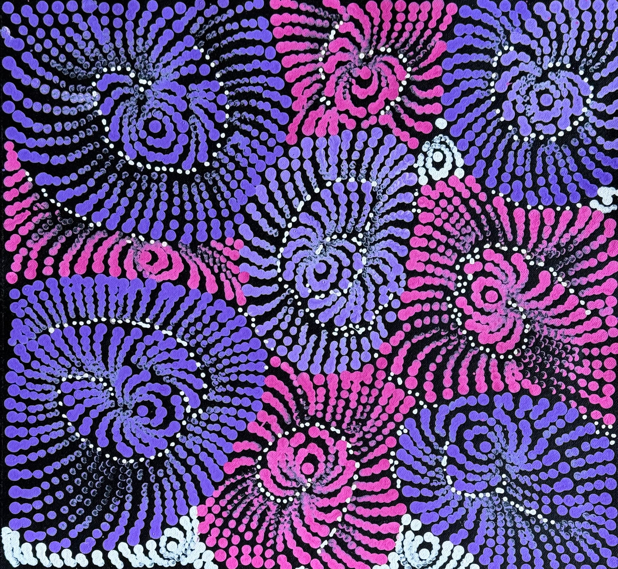 Maria Nampijinpa Brown Flying Ants Dreaming Purple and Pink Artwork ...