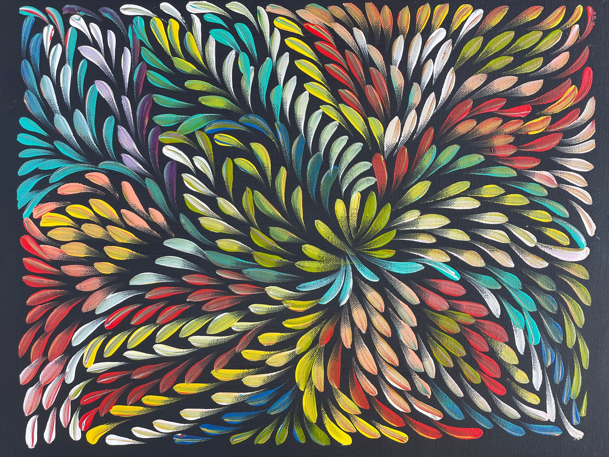 Caroline Numina Bush Medicine Leaves Multicoloured Artwork | Small ...