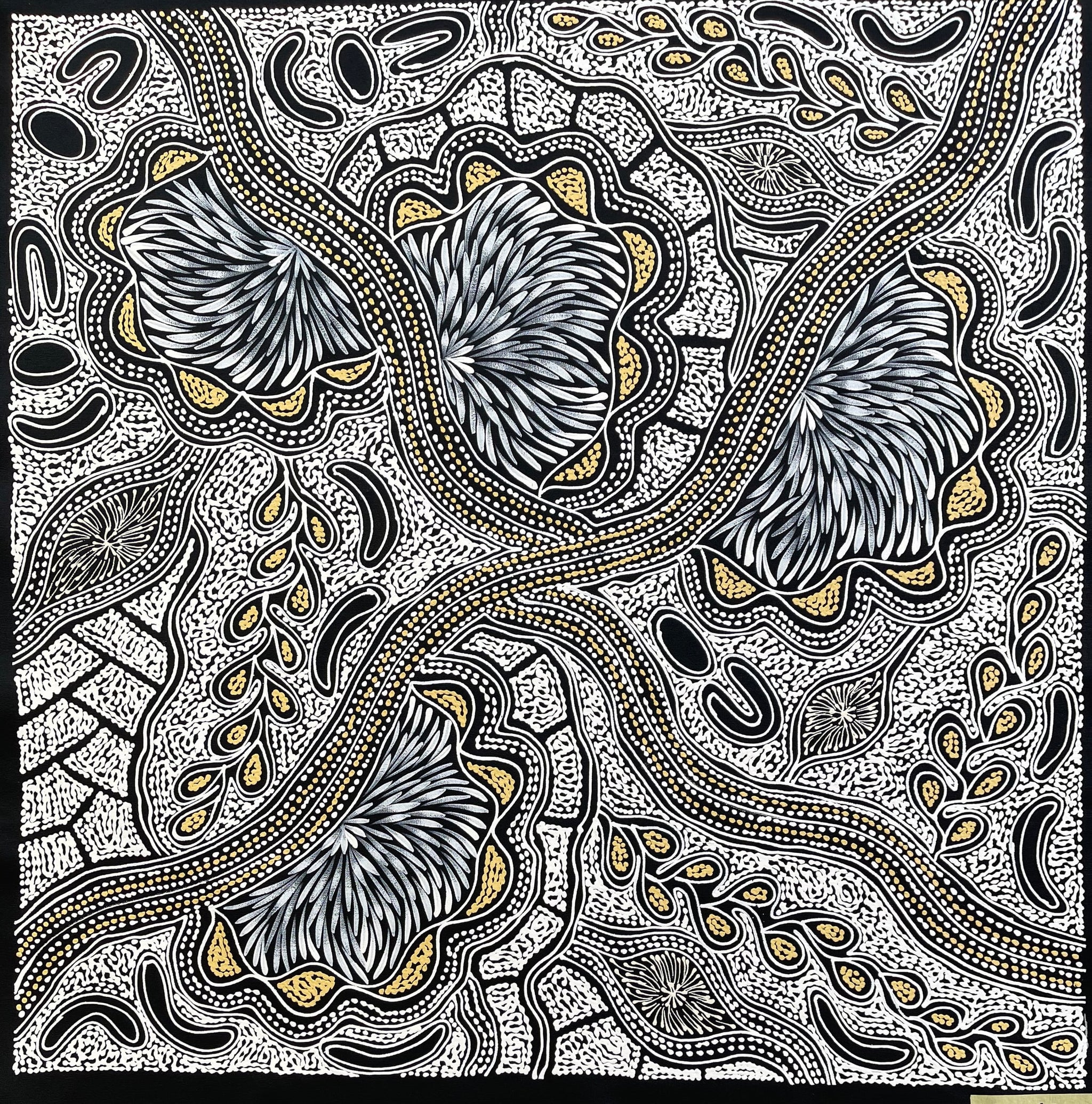 Sharon Numina My Country Dreaming Black and White Artwork | Medium ...