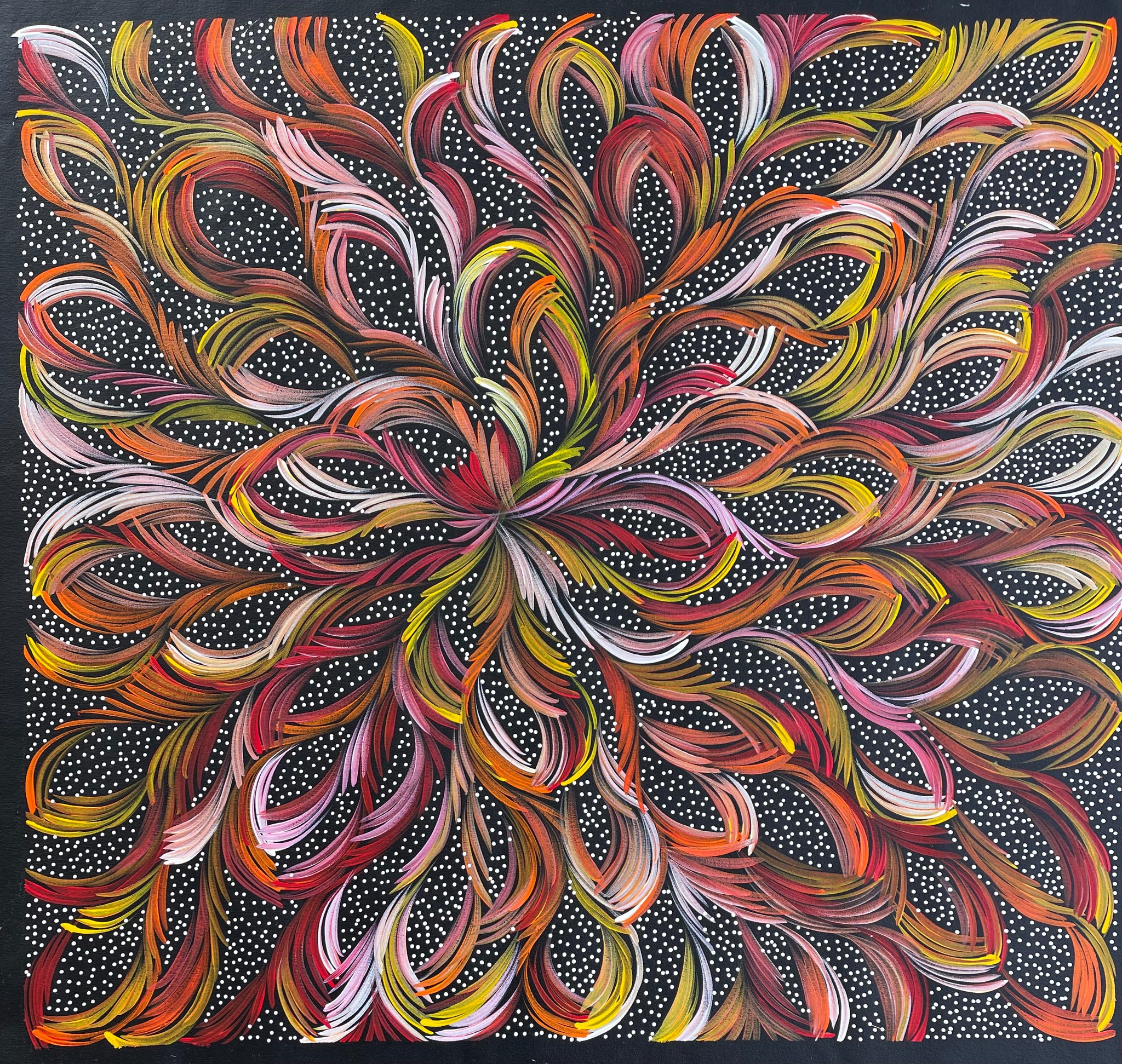 Selina Numina Kamprina Bush Medicine Leaves with Seeds Orange and Red ...